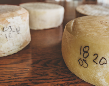 Kervella Cheese - Elishea Nicholson